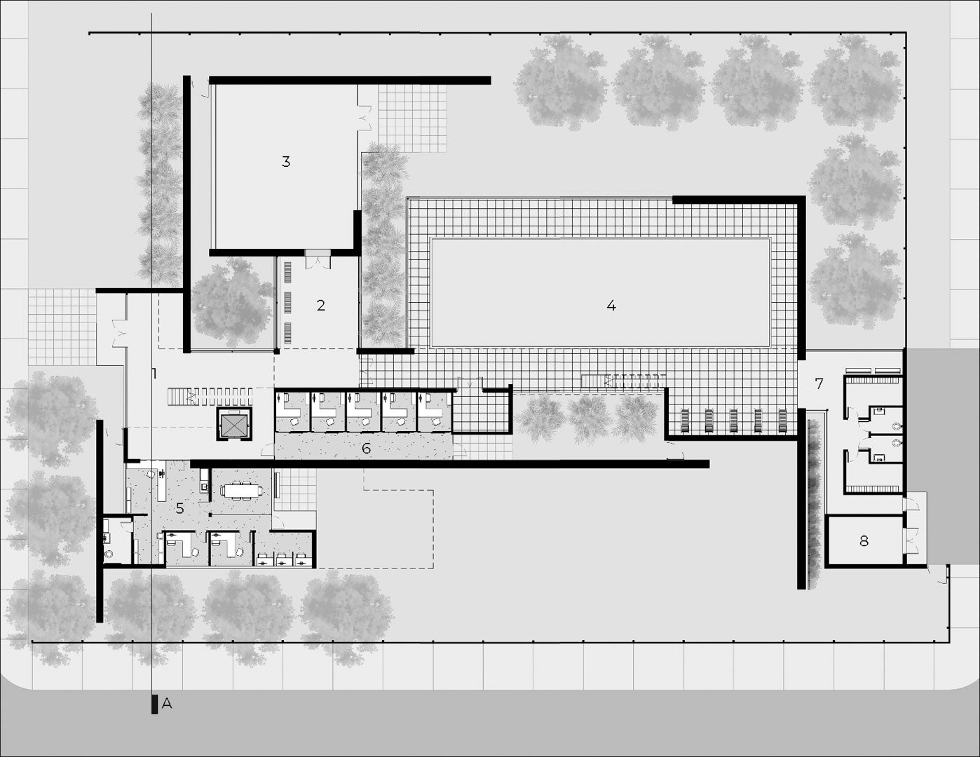 6 Types of Natural Light in Architecture — Rascoh Studio