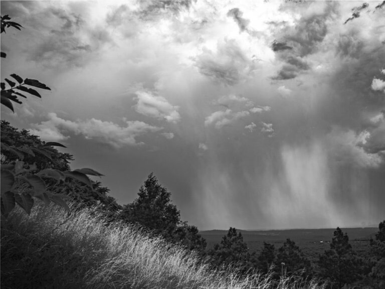 6 Types of Natural Light in Architecture — Rascoh Studio