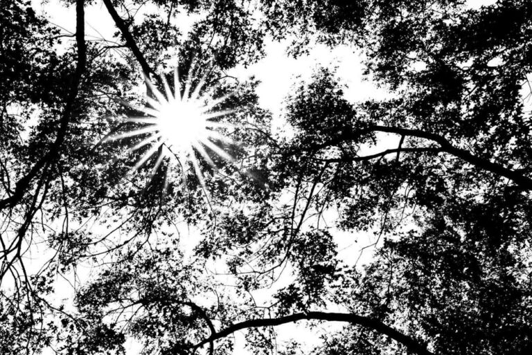 6 Types of Natural Light in Architecture — Rascoh Studio