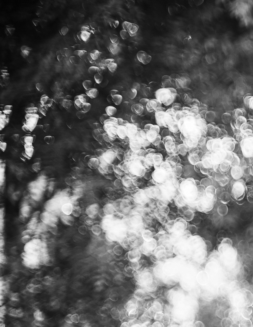 6 Types of Natural Light in Architecture — Rascoh Studio